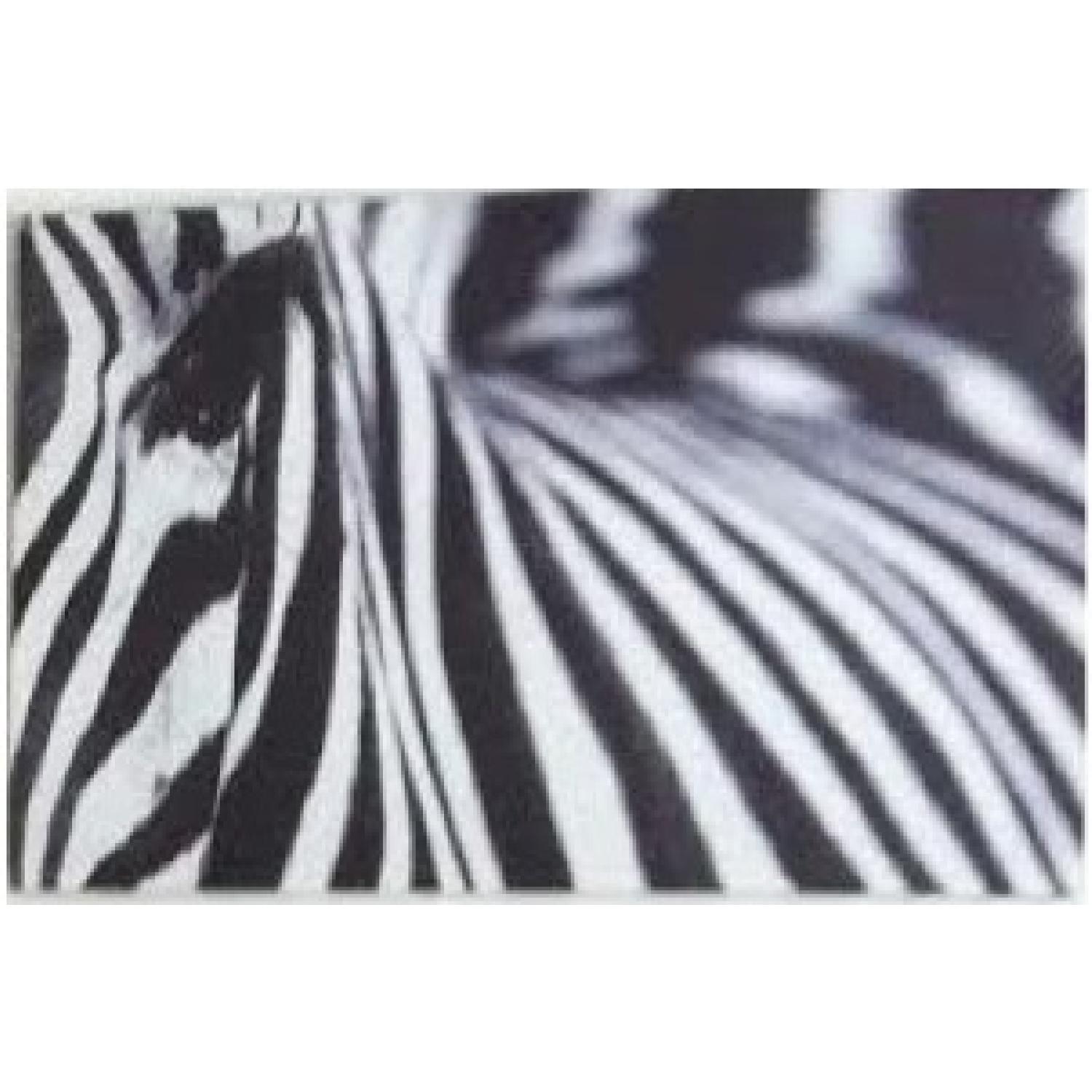 Modani Modern Zebra Print - AptDeco
