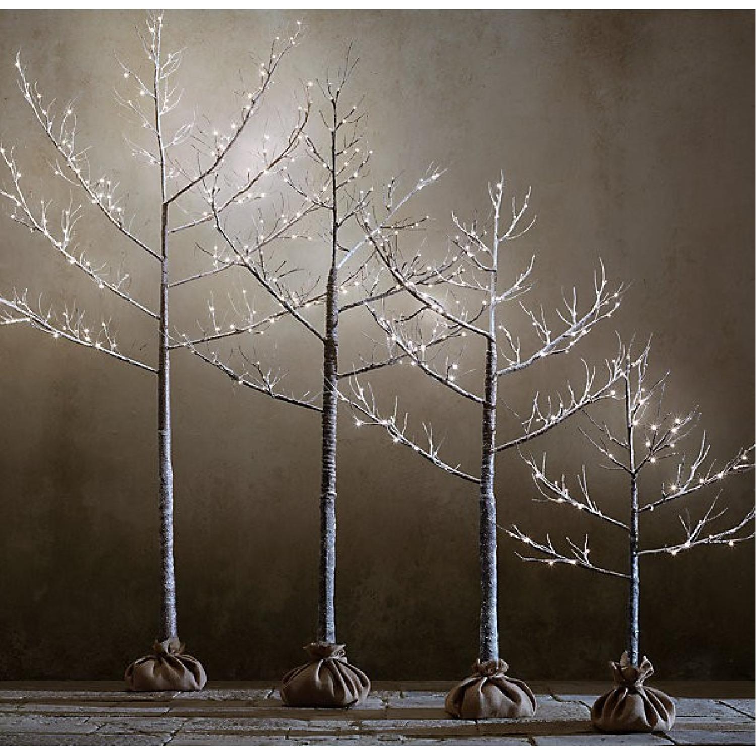 Restoration Hardware Winter Wonderland Flocked Trees - AptDeco