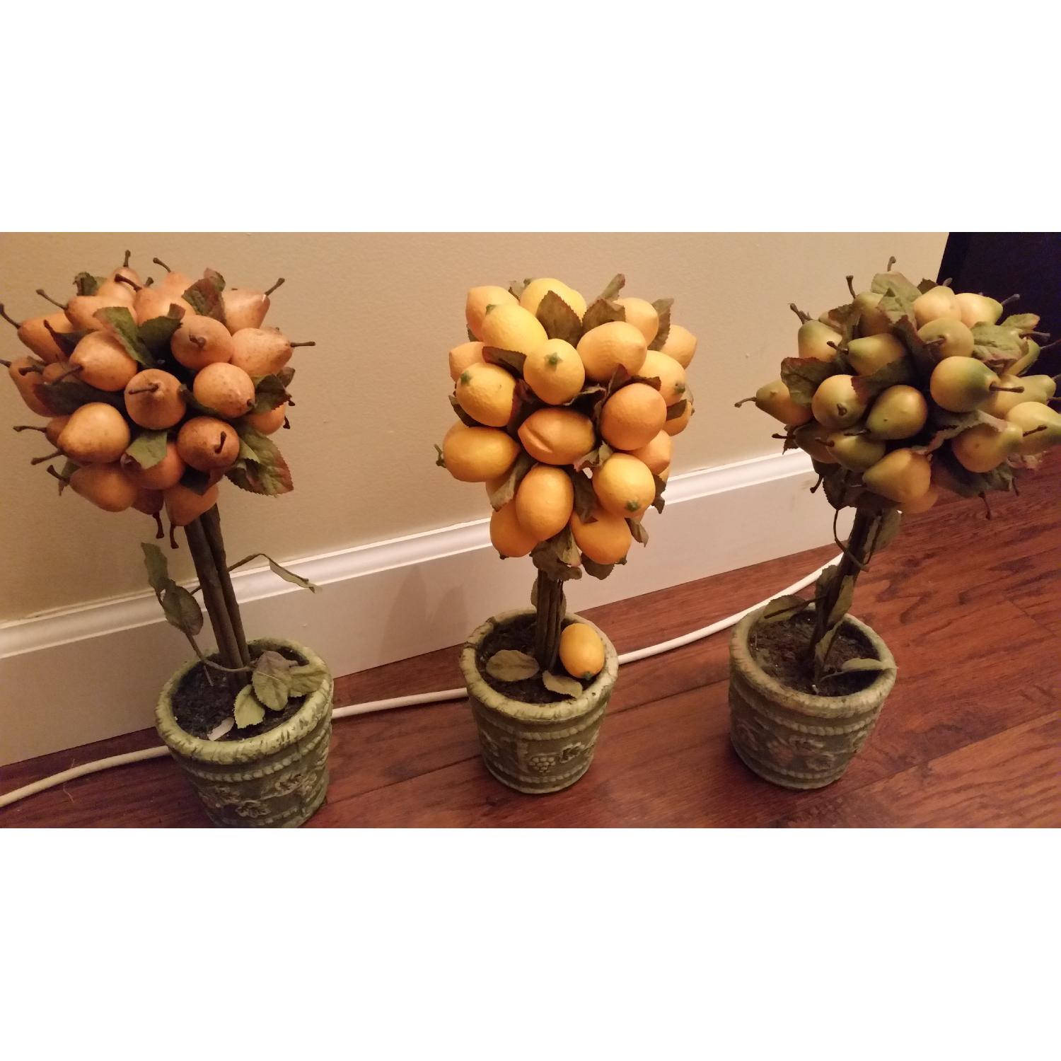 7 Decorative Fruit Trees Topiary - AptDeco