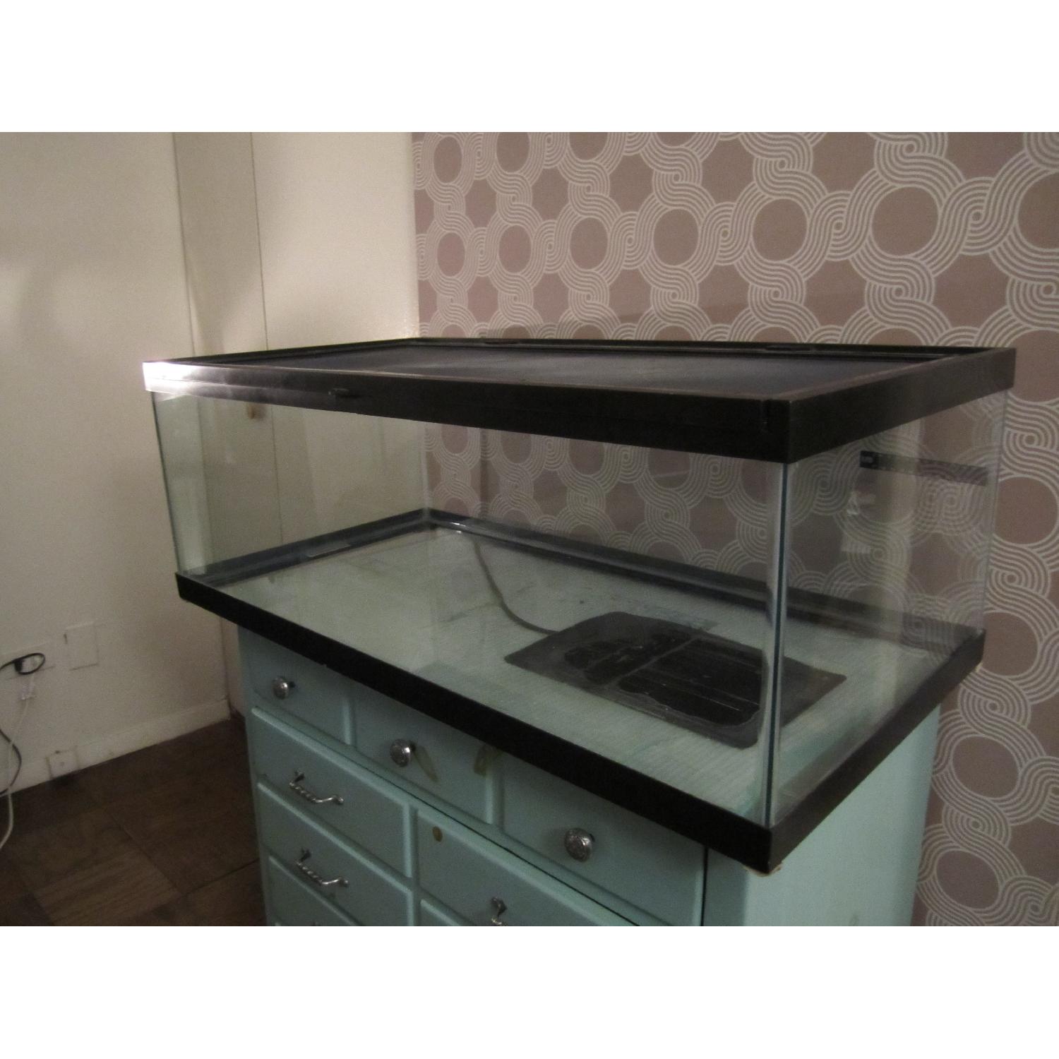 40 Gallon Glass Terrarium Tank - AptDeco