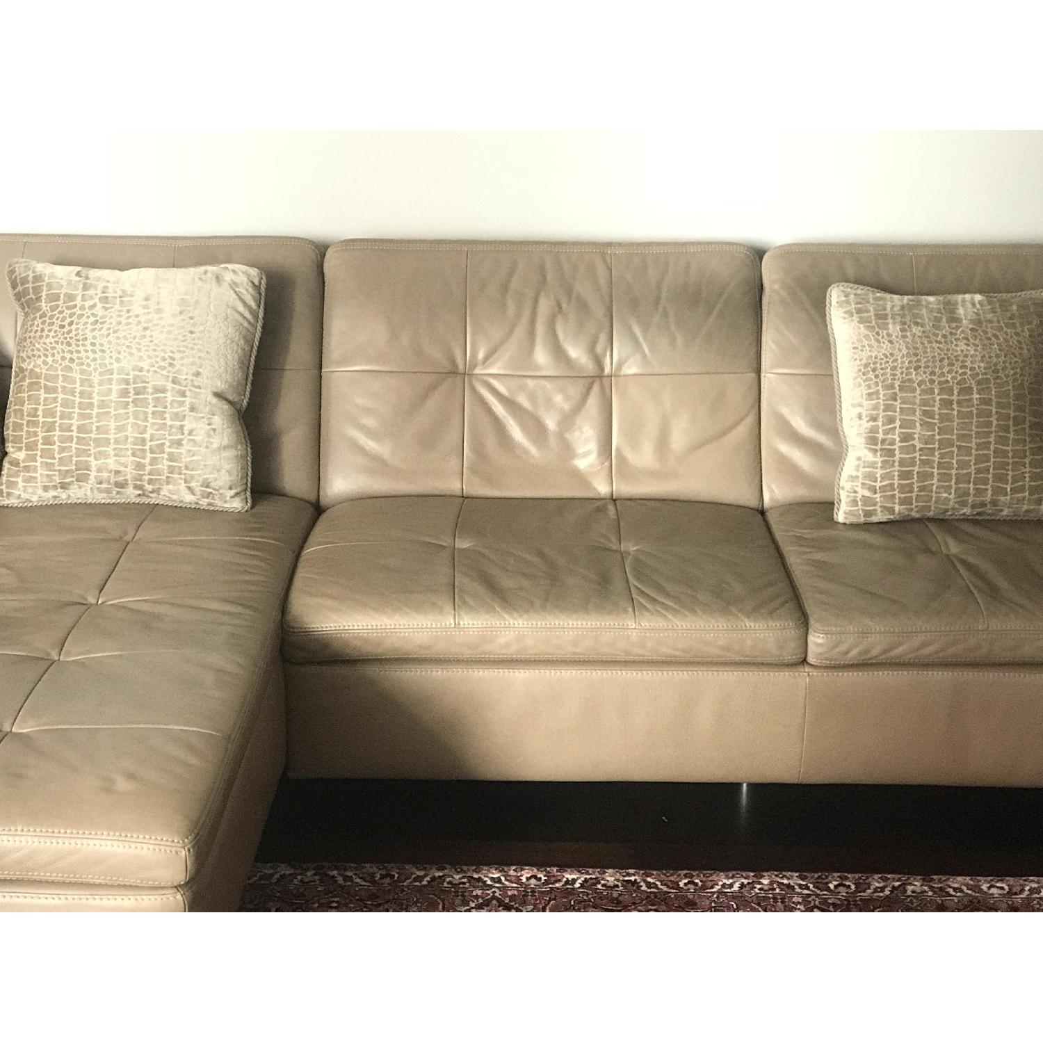 W Schillig Contemporary Sectional Sofa In Natural Leather Aptdeco