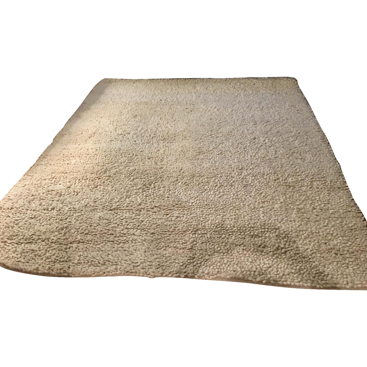Textured Cream Area Rug - AptDeco