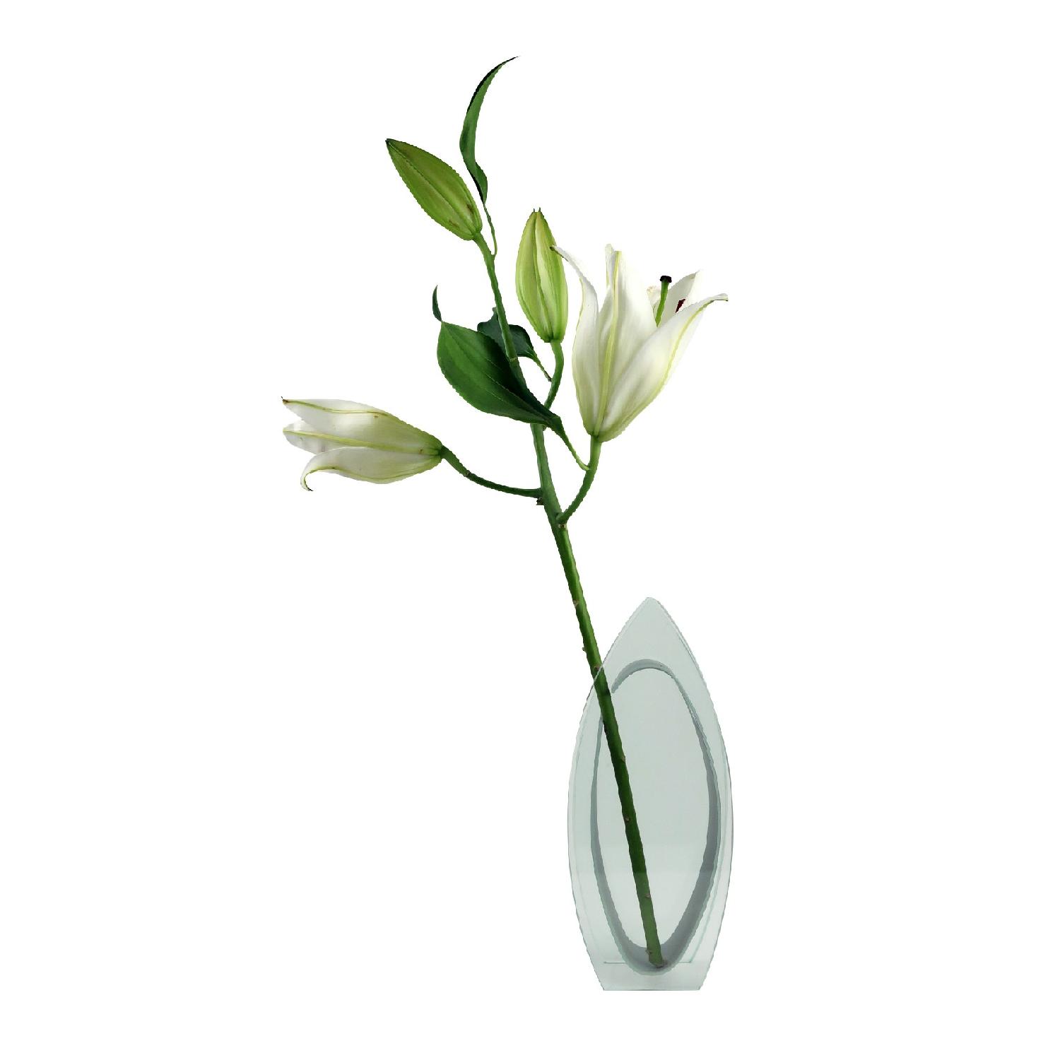1980s Bullet Shaped Glass Vase - AptDeco