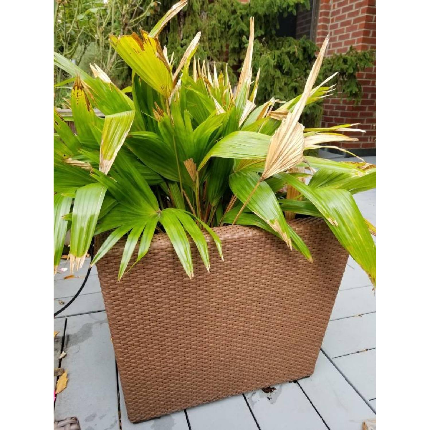 Dedon Planters Square Low Planter - AptDeco