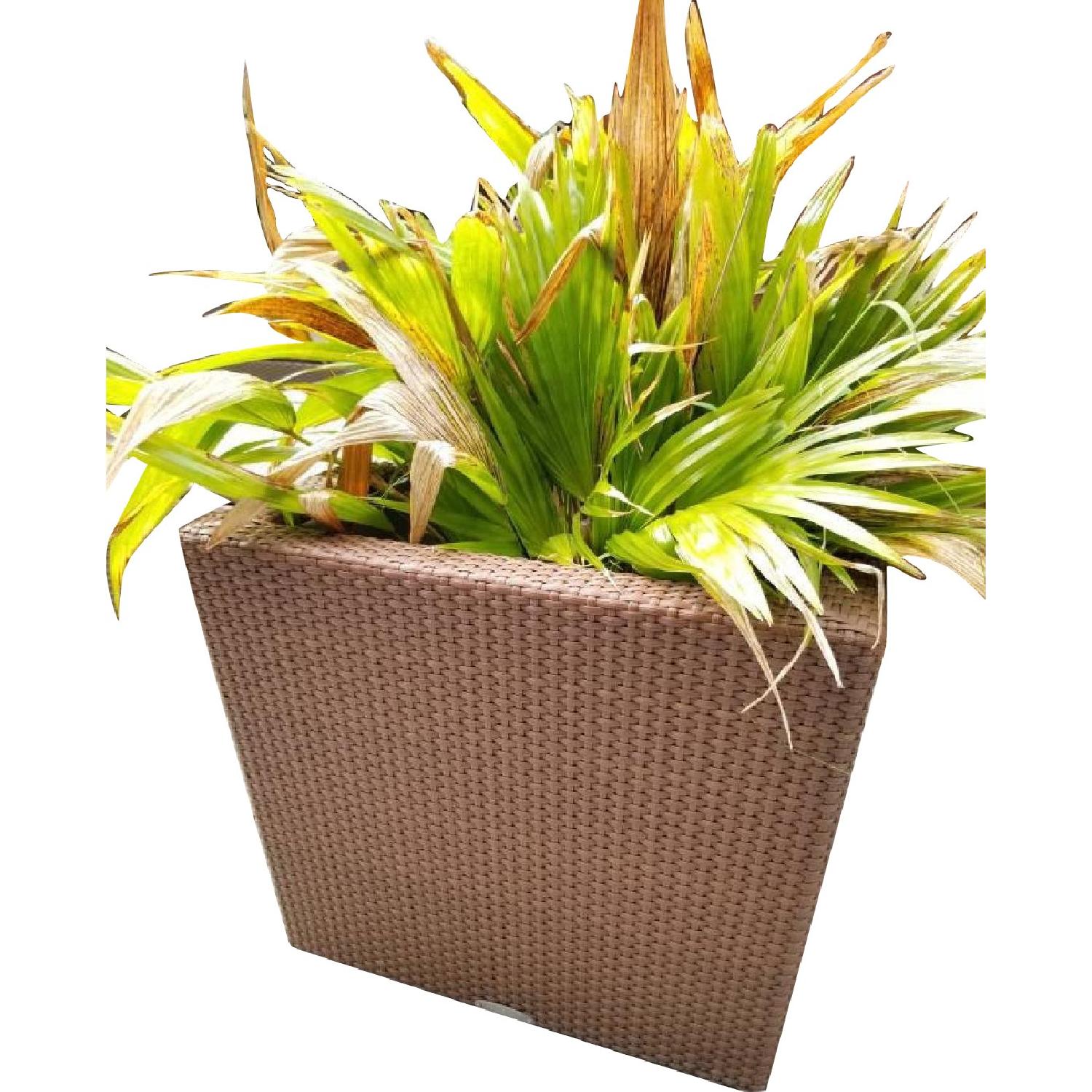 Dedon Planters Square Low Planter - AptDeco