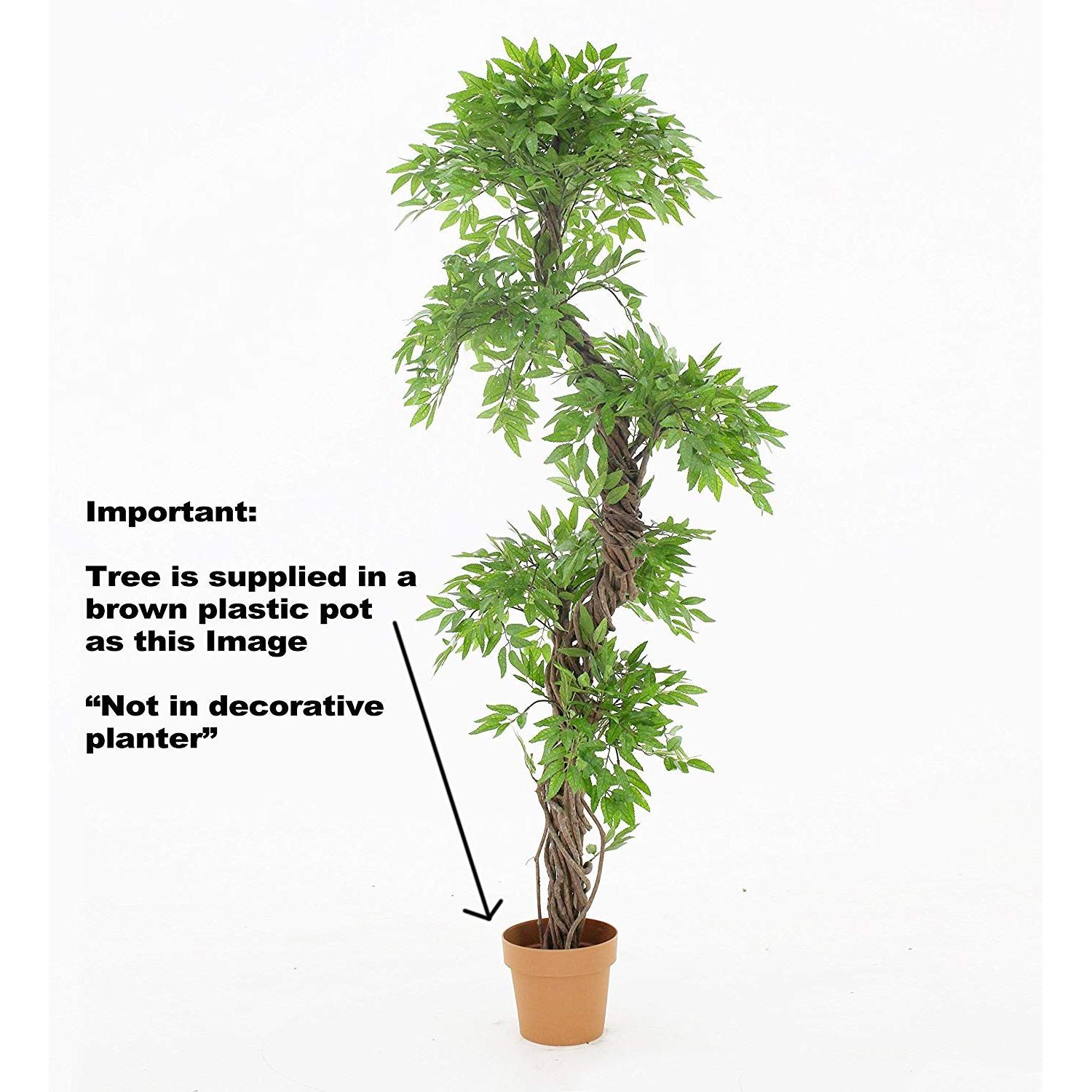 Japanese Fruticosa Tree - AptDeco