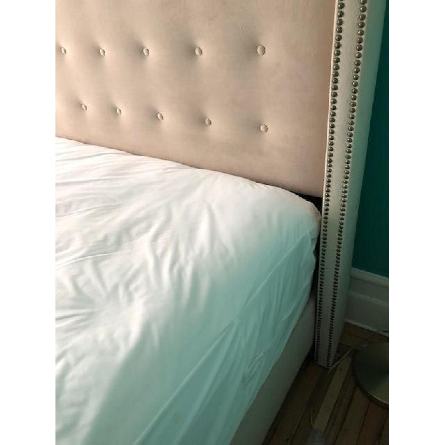 Tufted Wingback Queen Bed in Velvet Buckwheat - AptDeco