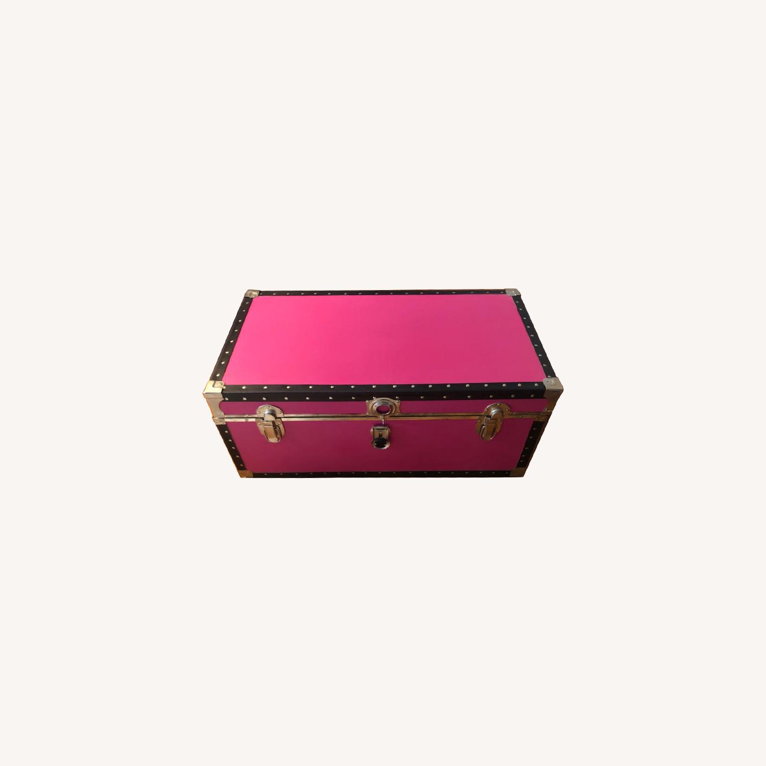 Pink Trunk - AptDeco