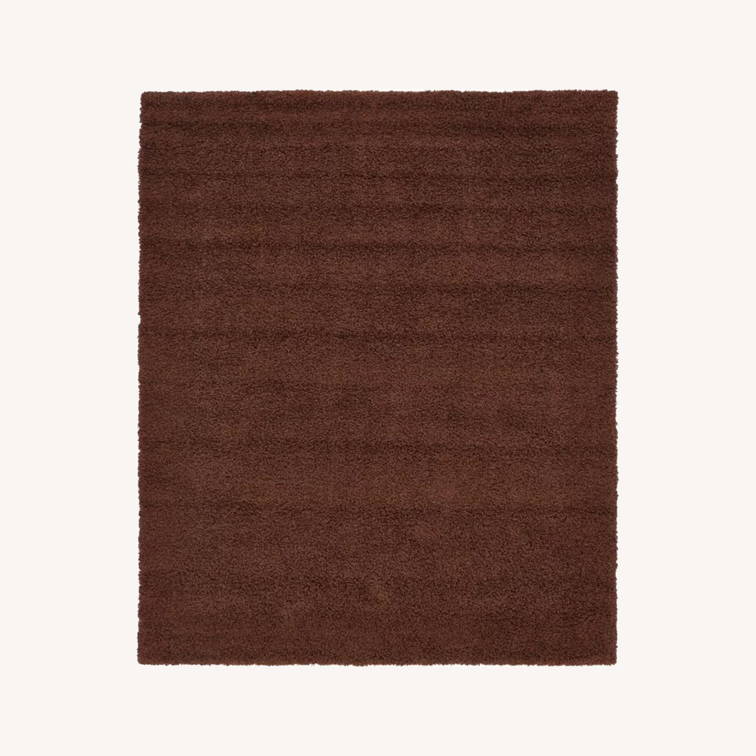 Wayfair Massasoit Chocolate Brown Area Rug - AptDeco