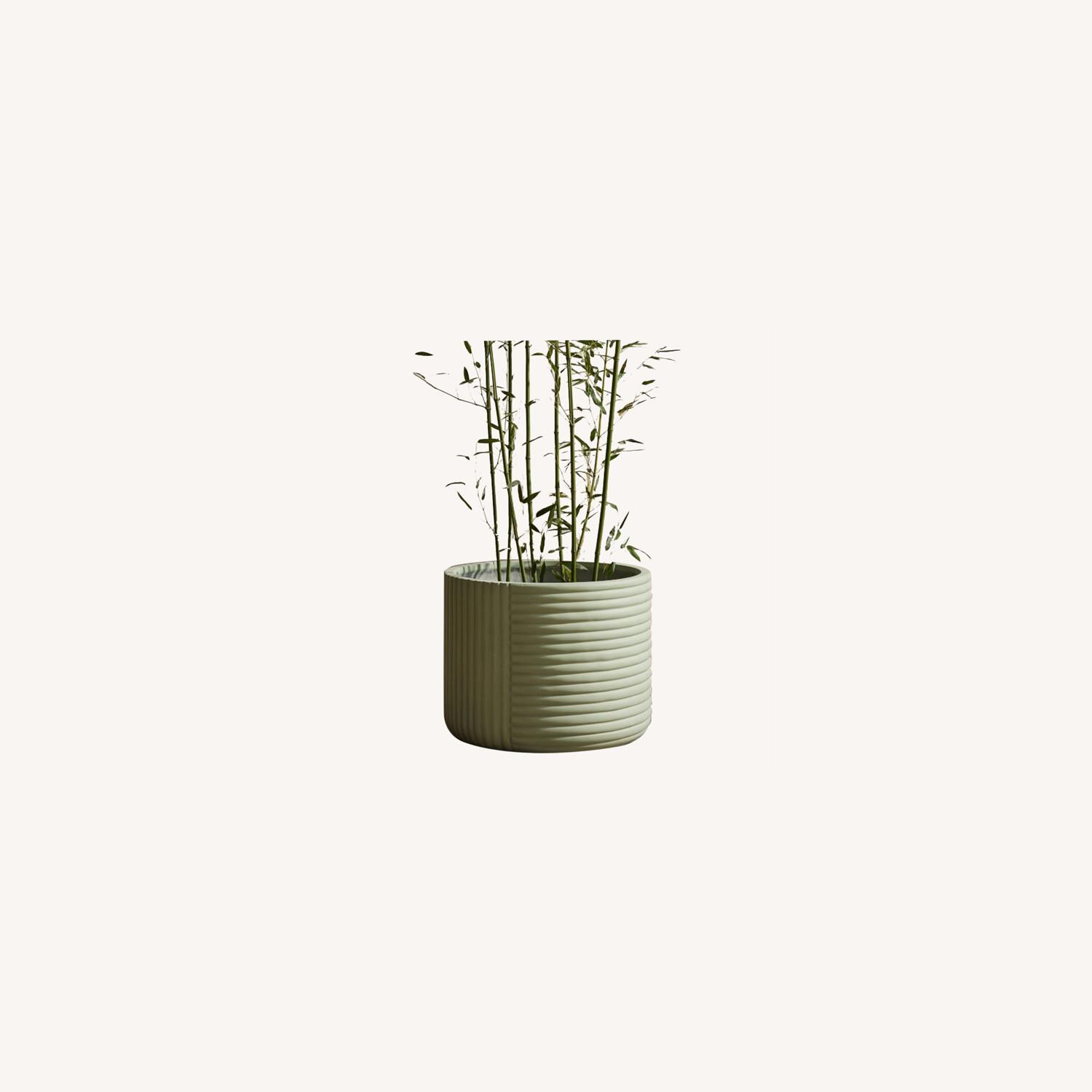 West Elm Cecilia Planter - AptDeco