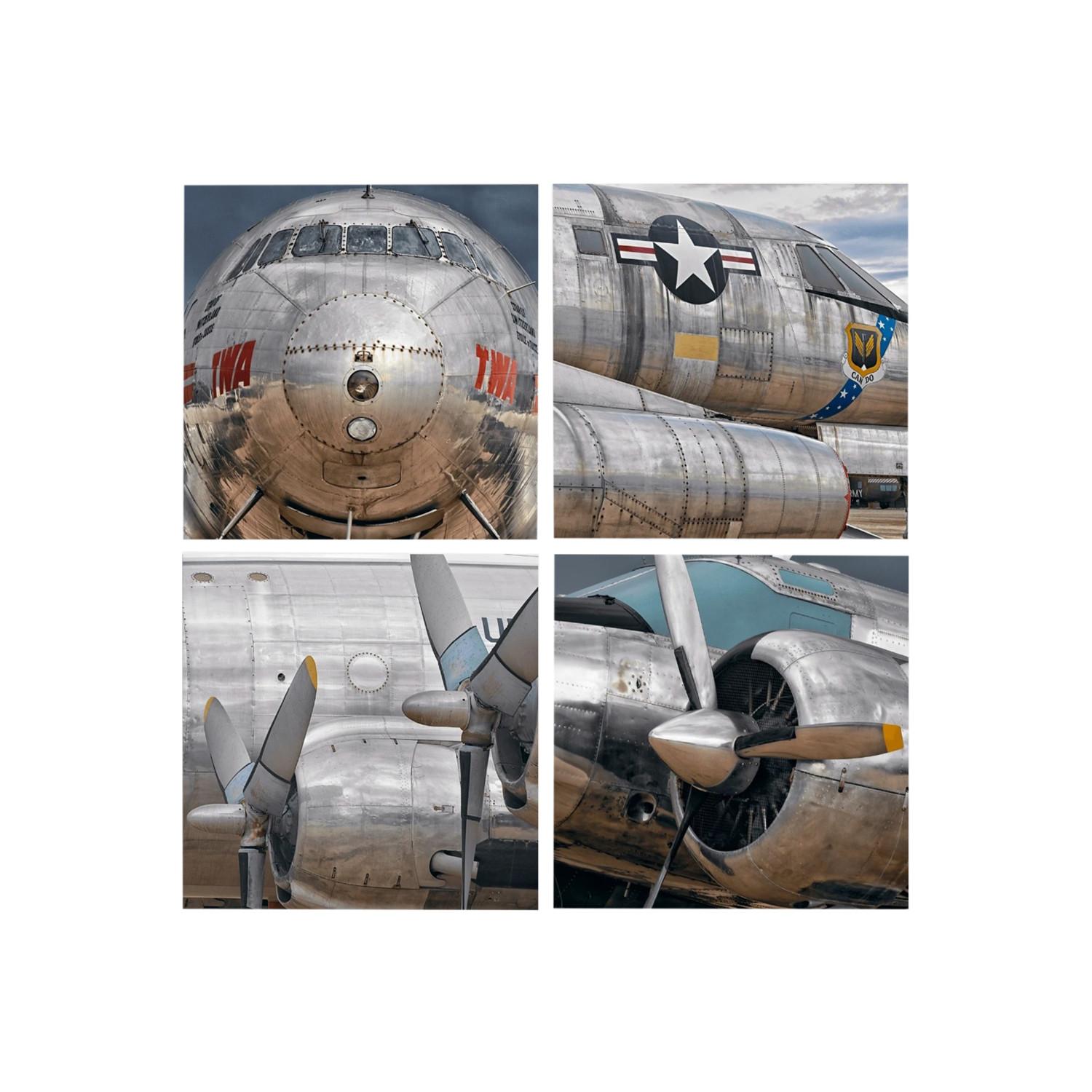 Peter Lik "Aviator" 4 Photograph Open Edition - AptDeco