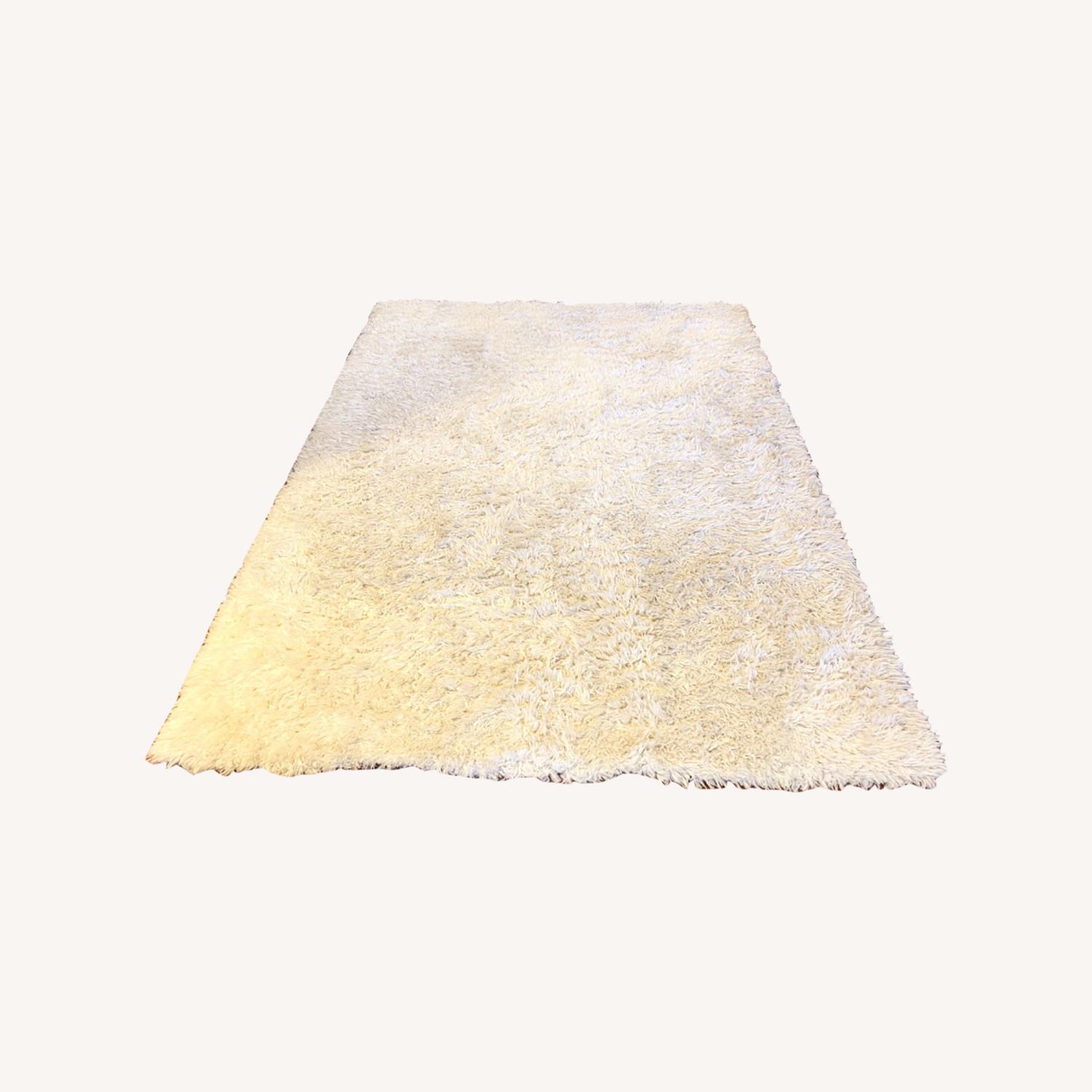 Soft Shag Carpet - AptDeco