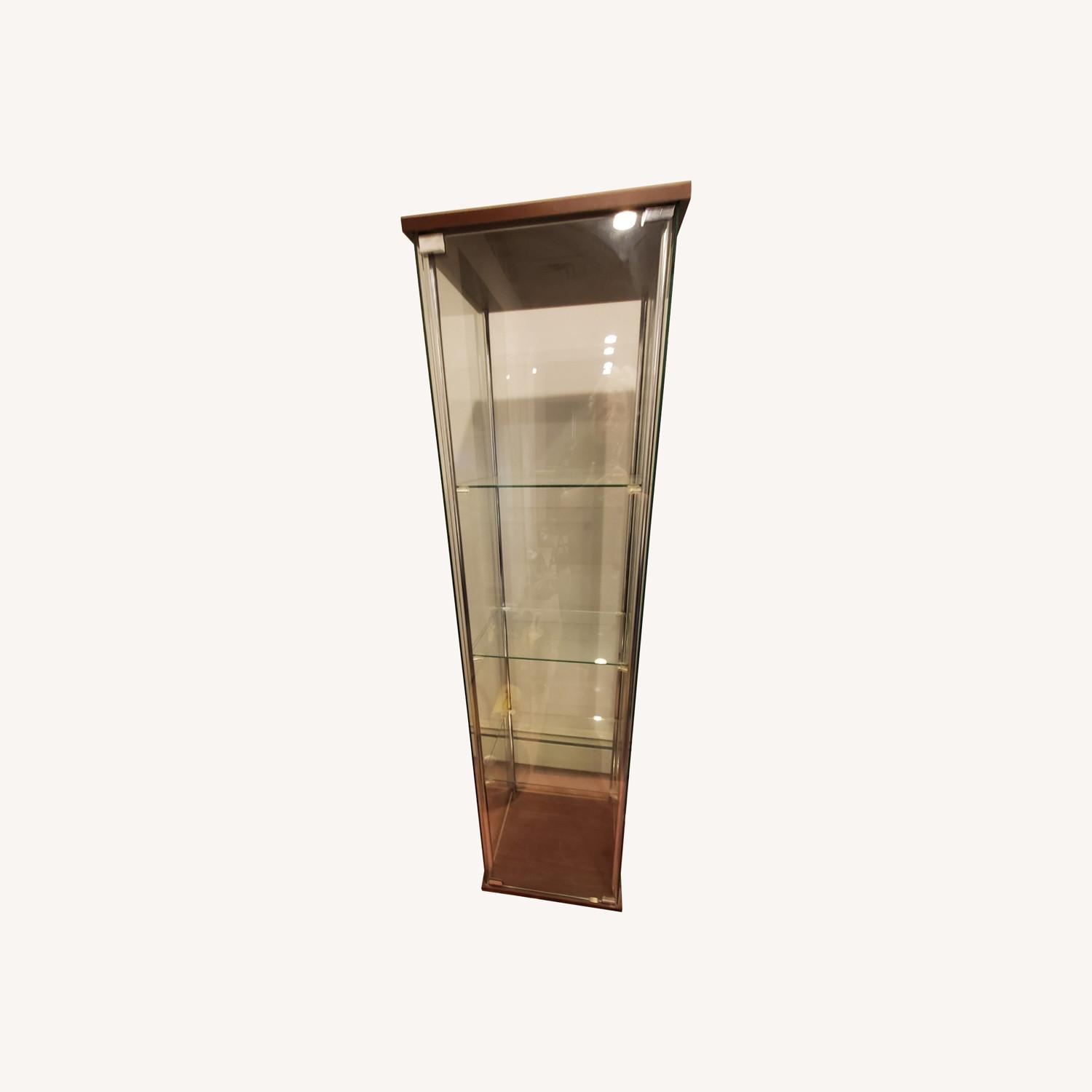 Glass Display Cases - AptDeco