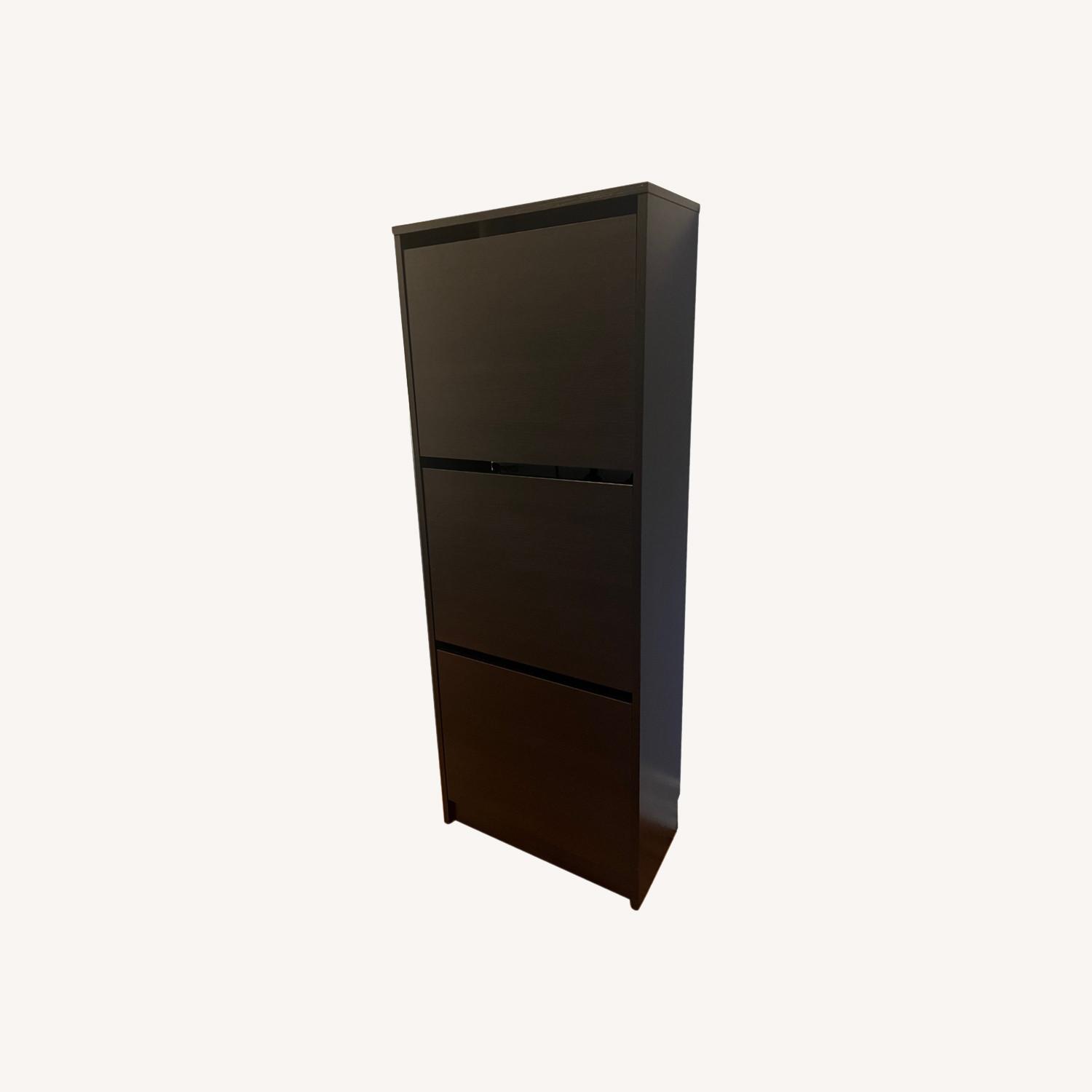 IKEA Bissa Shoe Cabinet - AptDeco