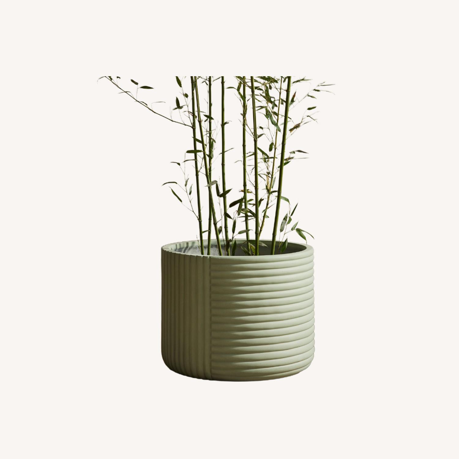 West Elm Cecilia Ficonstone Indoor/Outdoor Planter - AptDeco