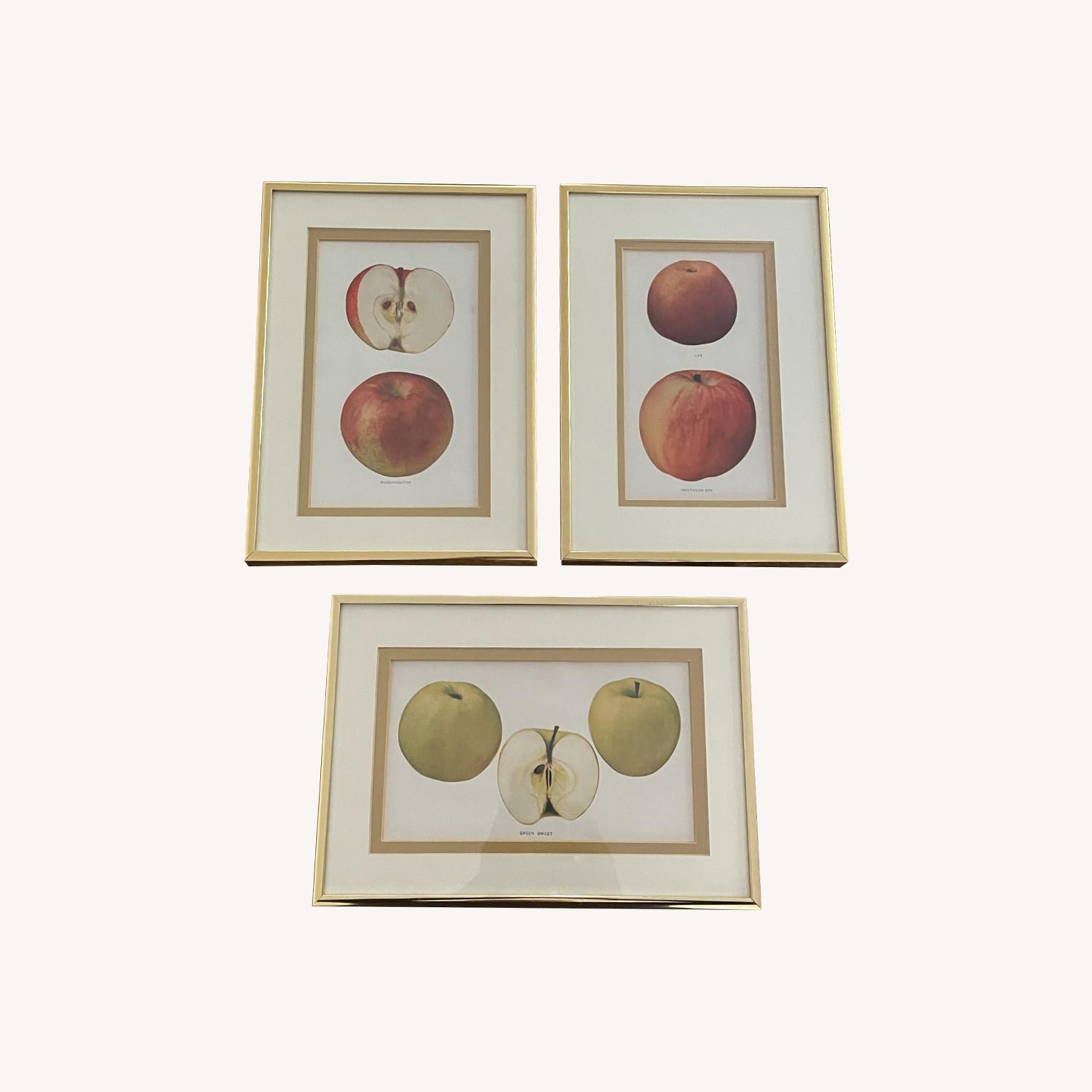 Vintage Apple Prints - AptDeco