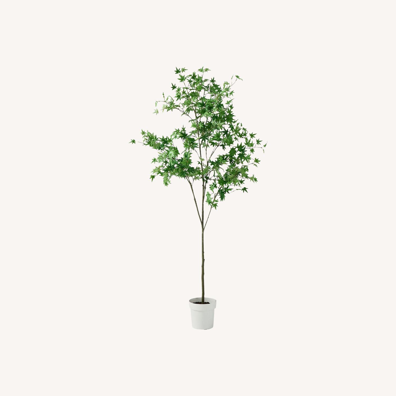West Elm Faux Maple Potted Tree - AptDeco