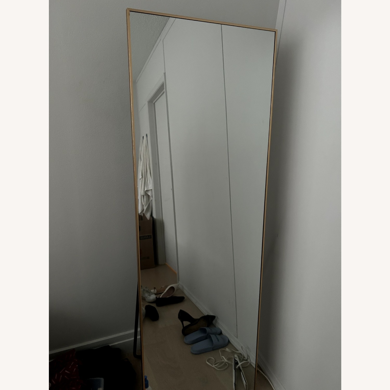 Full Length Mirror Floor - AptDeco