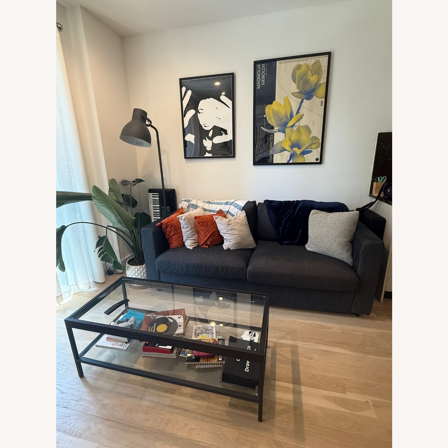 IKEA Finnala Couch/Queen Sleeper - AptDeco