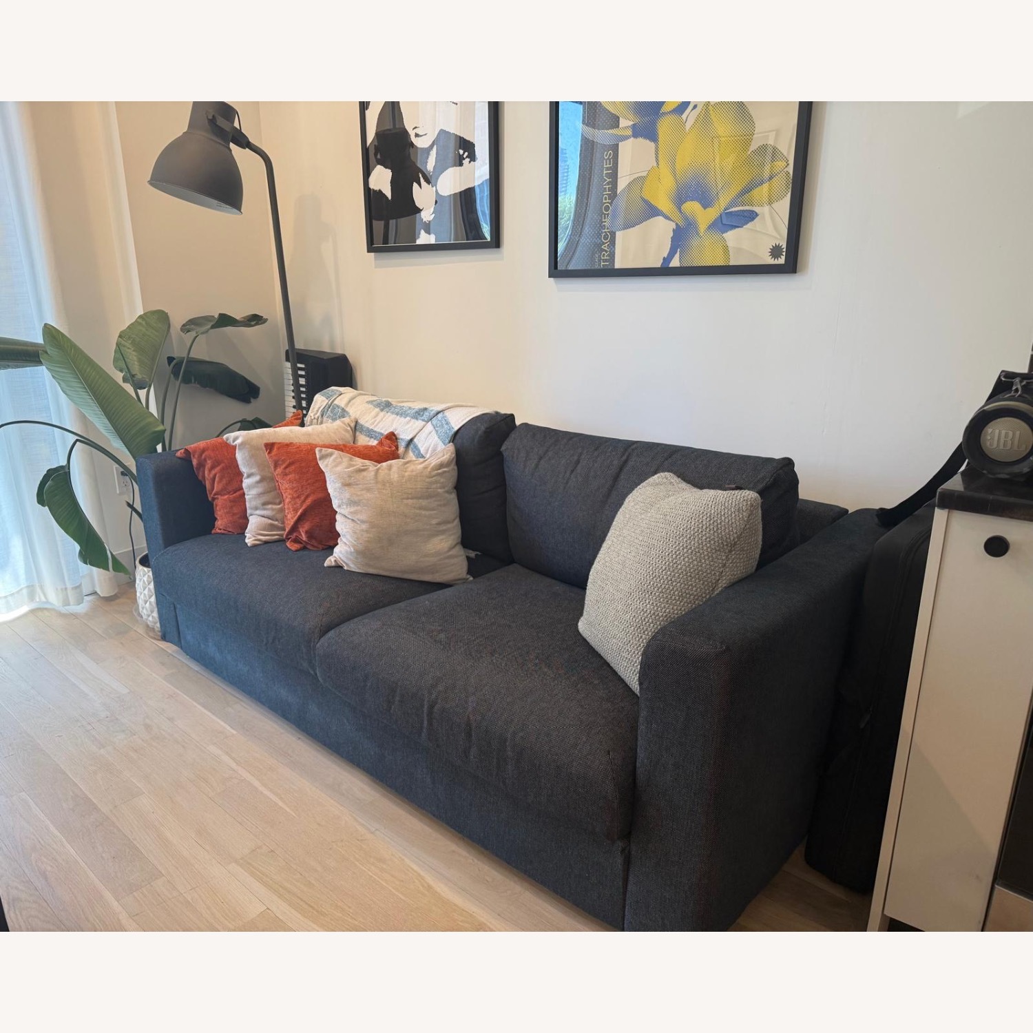 IKEA Finnala Couch/Queen Sleeper - AptDeco