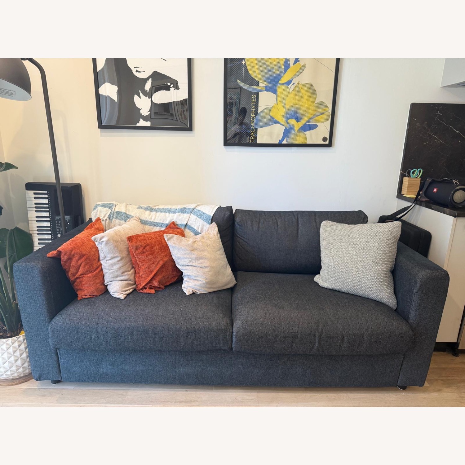 IKEA Finnala Couch/Queen Sleeper - AptDeco