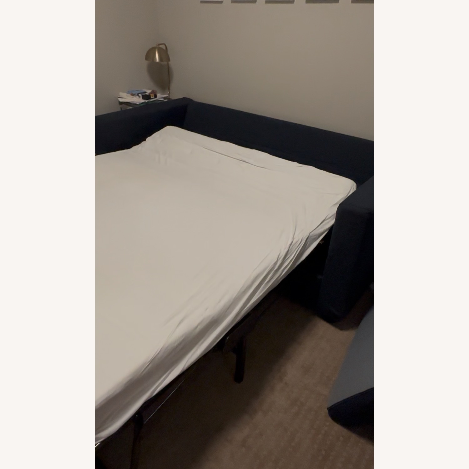 IKEA Finnala Queen Sleeper Sofa - AptDeco