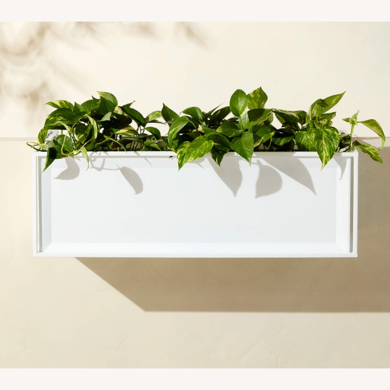 Varo Rectangular White Indoor/Outdoor Planter - AptDeco