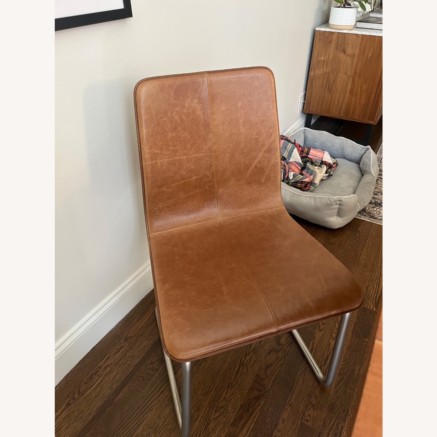 CB2 Pony Dining Chairs Set of 2 - AptDeco