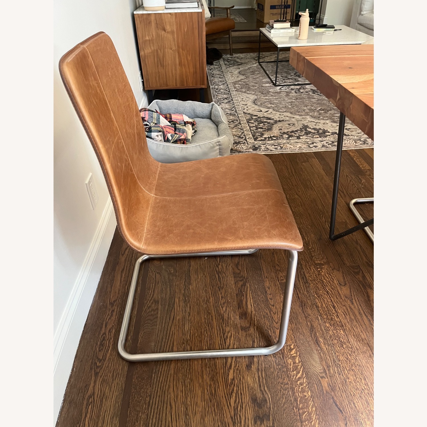 CB2 Pony Dining Chairs Set of 2 - AptDeco