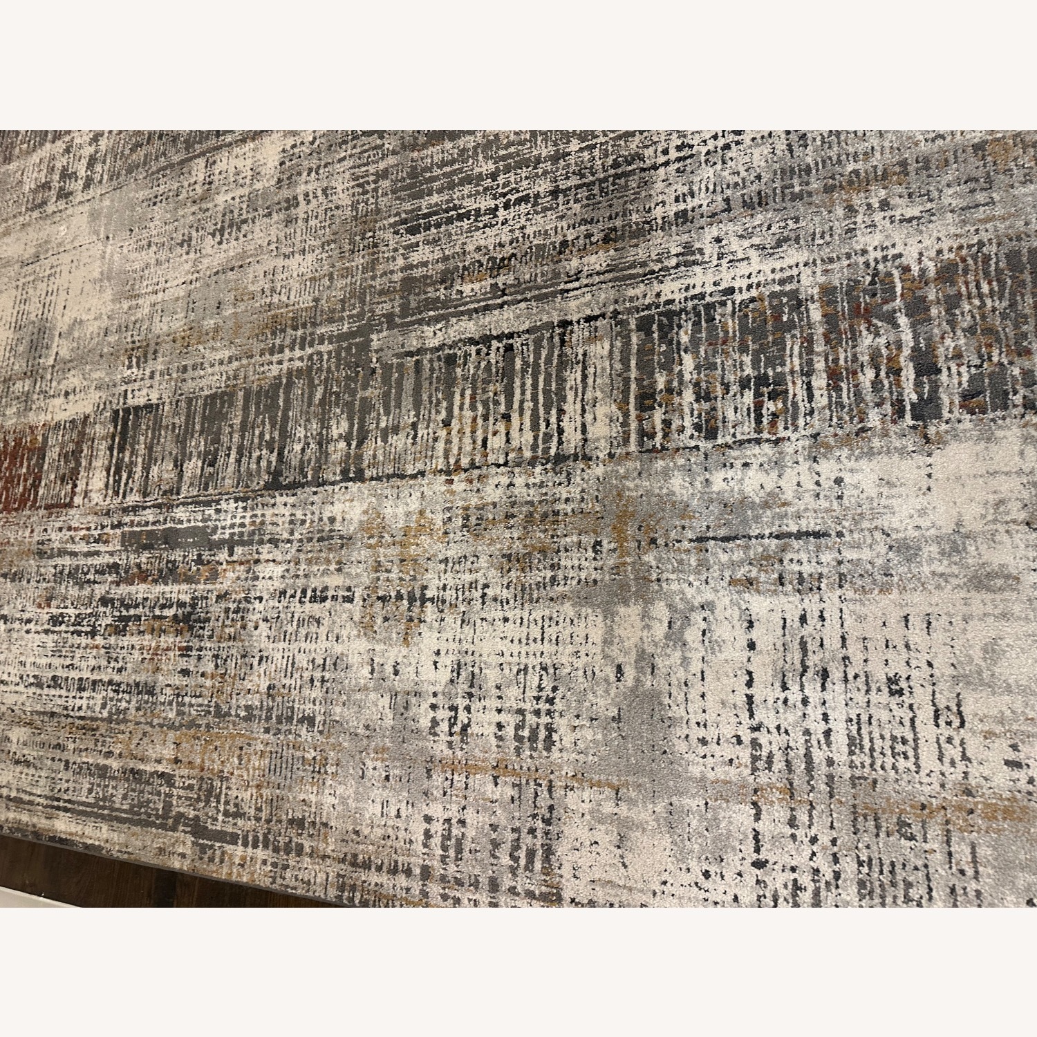 Nourison TANGRA 9x12 Rug - AptDeco