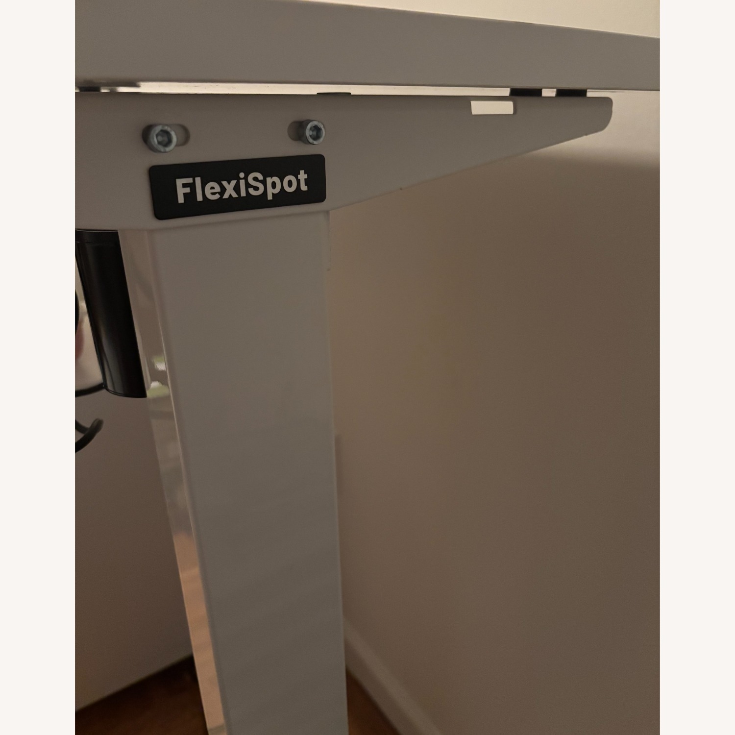 Flexispot White Standing Desk - AptDeco