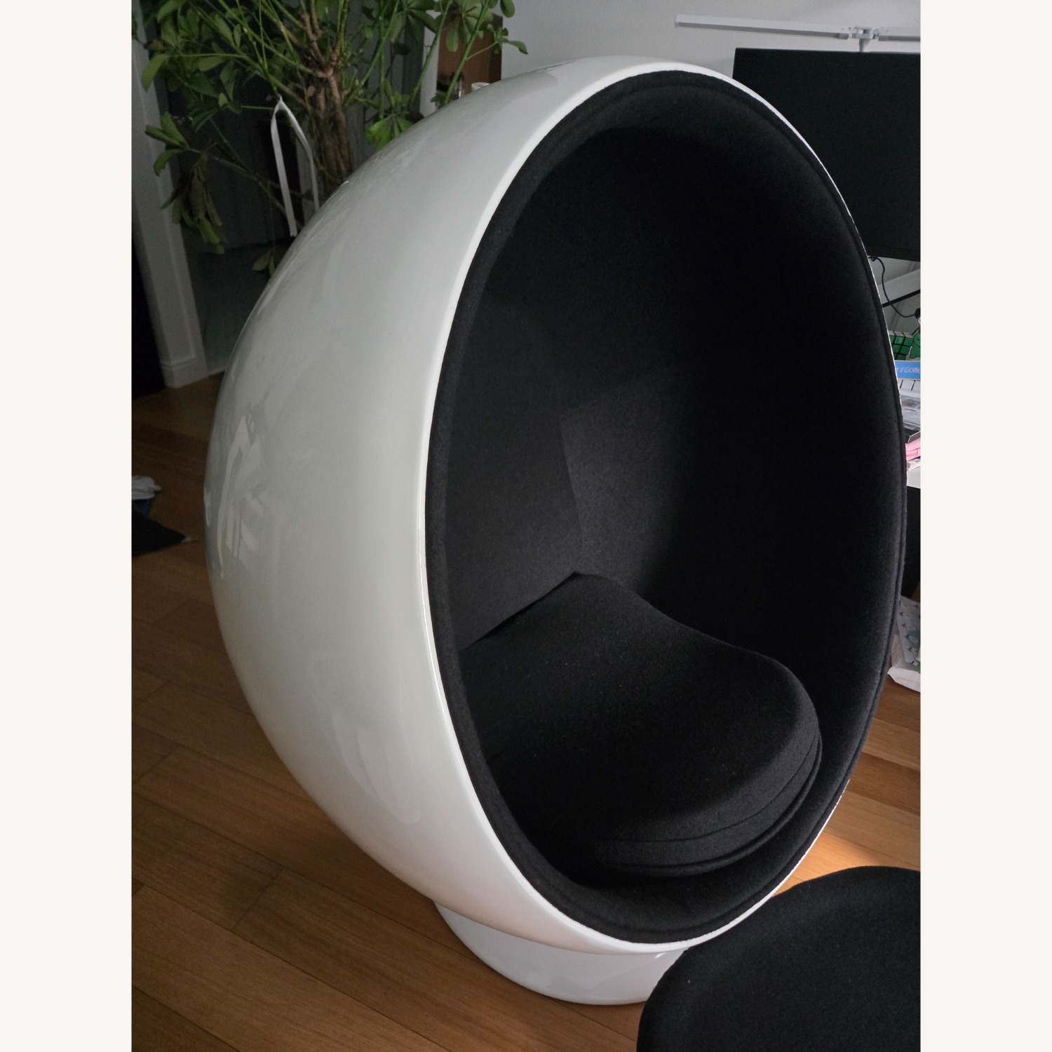 Modholic Globe Chair Black Accent Chairs - AptDeco