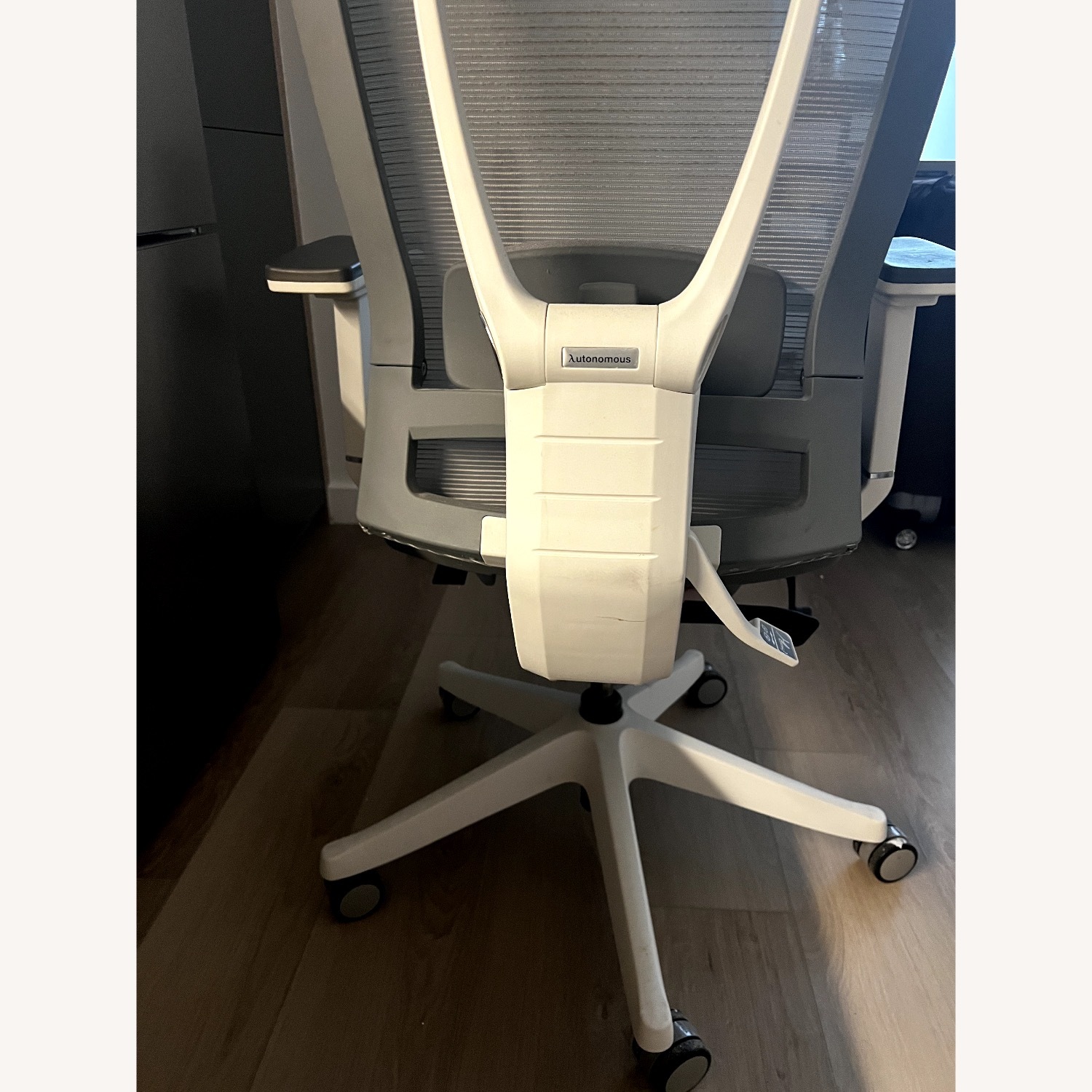Autonomous Ergochair Pro Light Gray Office Chair - AptDeco