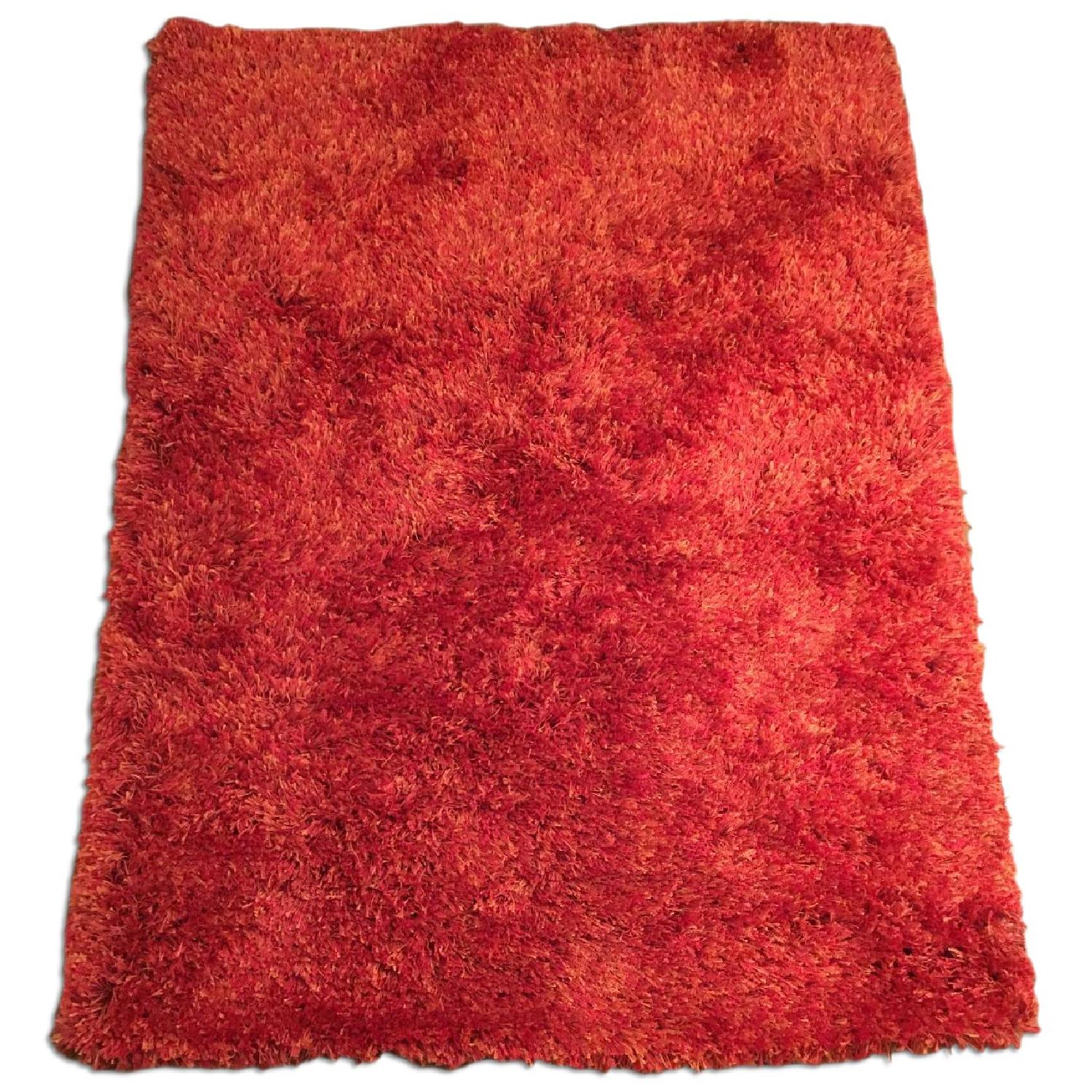 Nourison Style Bright Flame Shag Rug - AptDeco