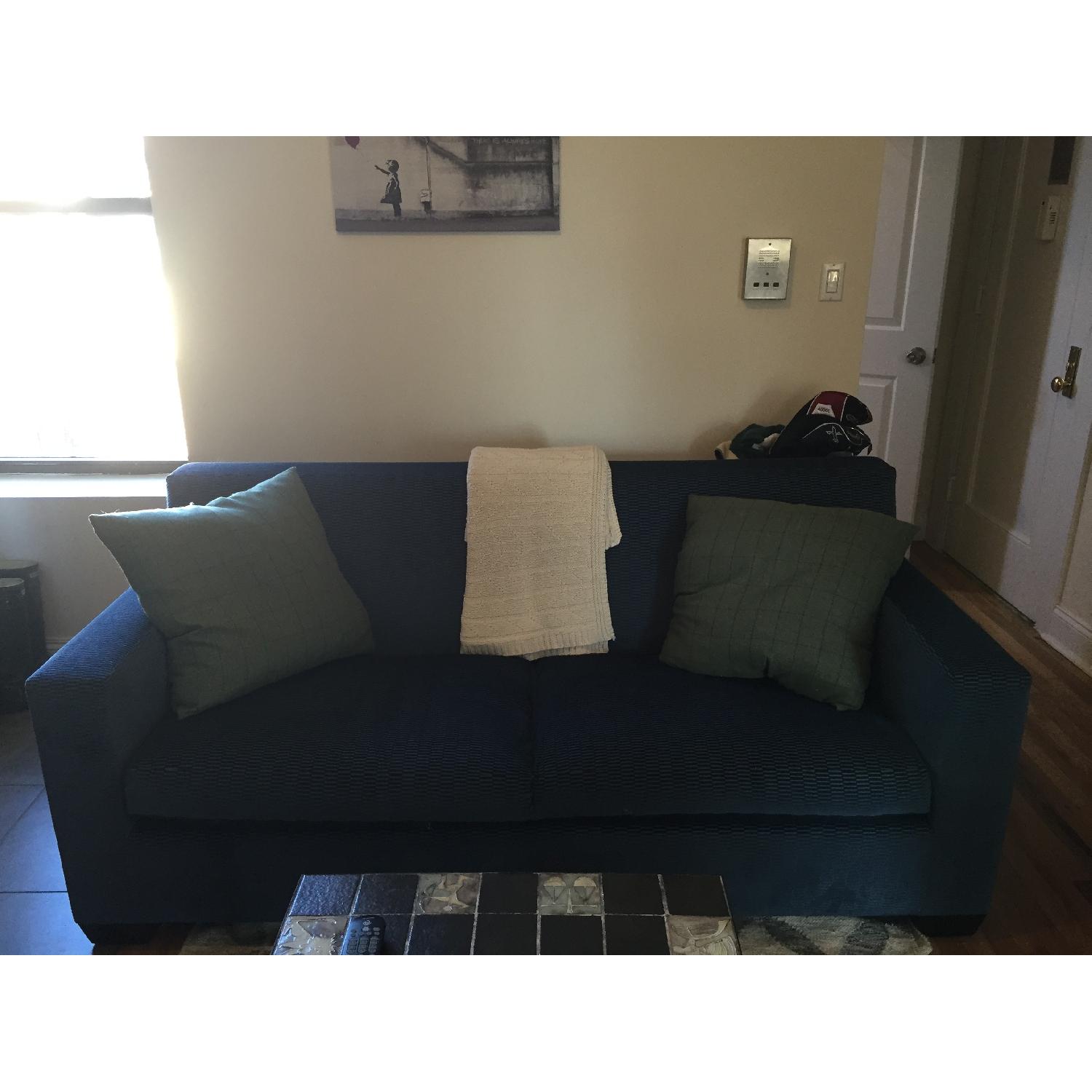 Custom Sleeper Sofa - AptDeco